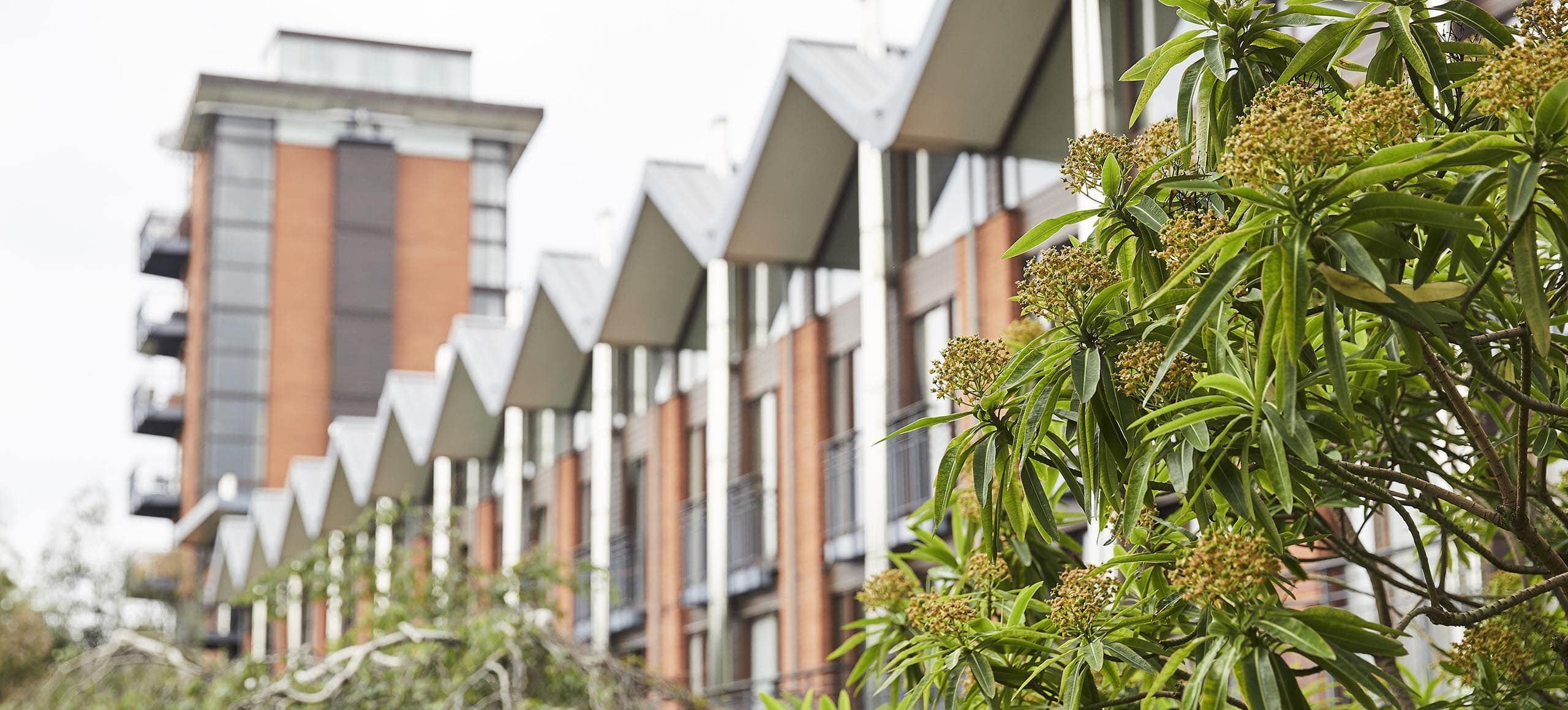 Home Page | Coin Street