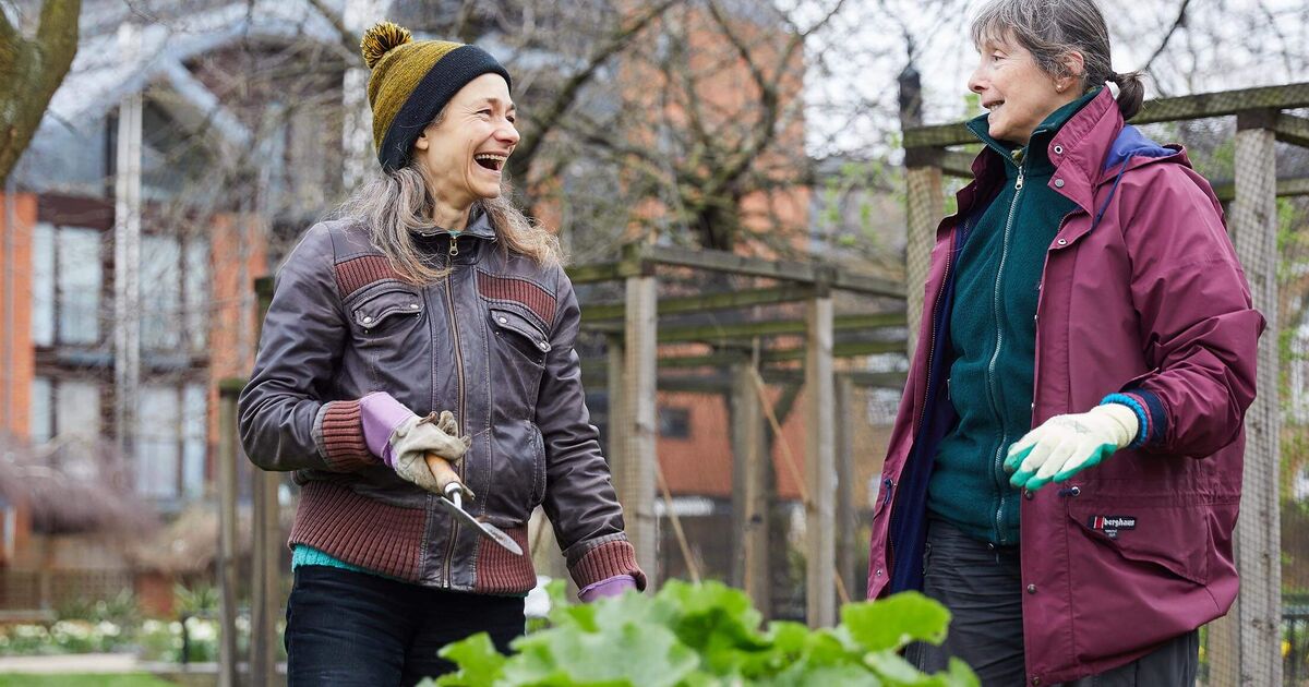 Volunteer with us | Coin Street