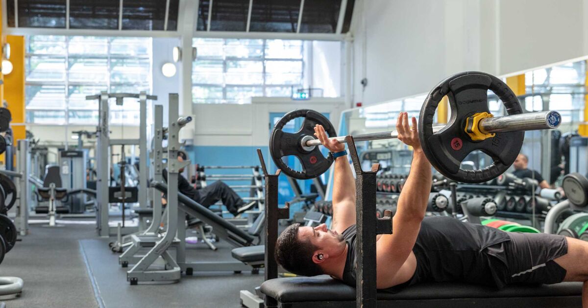 The transformative power of joining a gym: 5 benefits for your body and ...