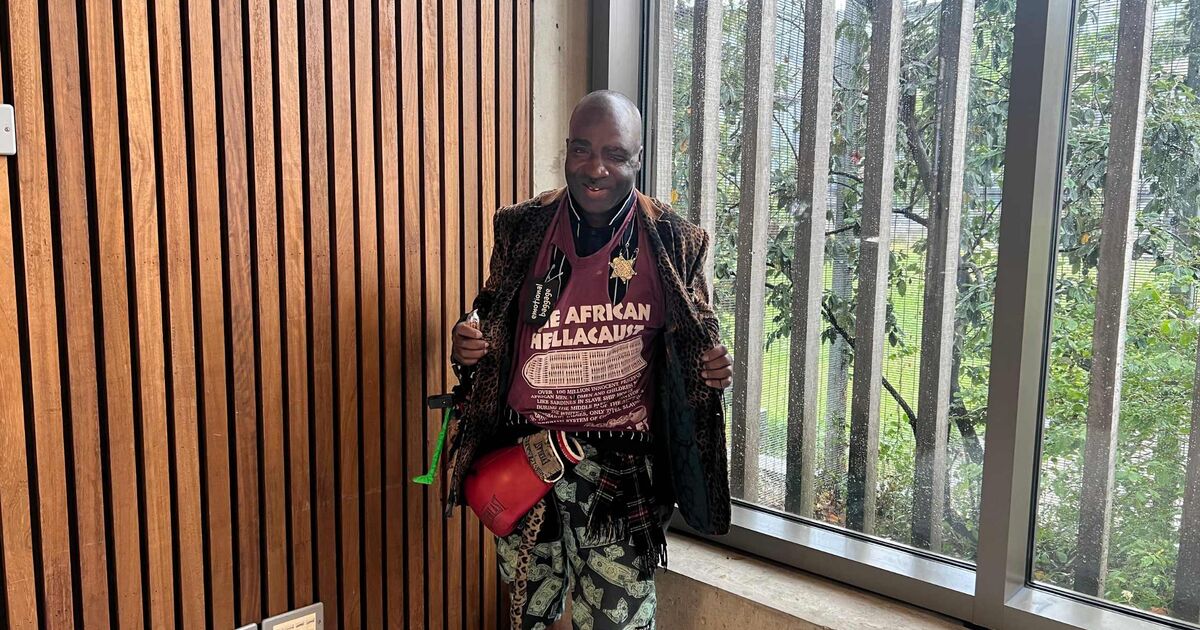 An update from Davidstar Royal King | Coin Street